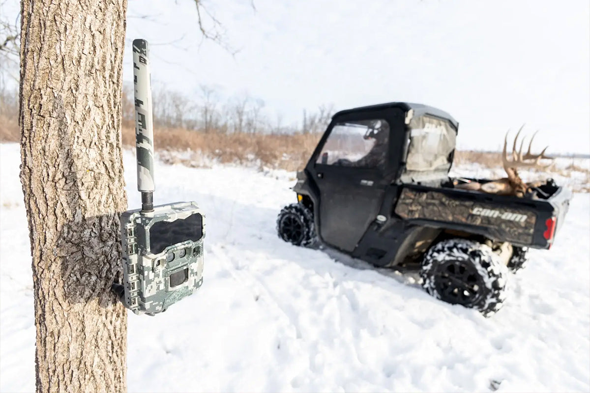 5 Late-Season Whitetail Tactics Every Hunter Should Use in December ...